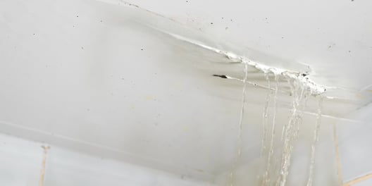 Water Damage on Your Roof: The Different Types and Solutions