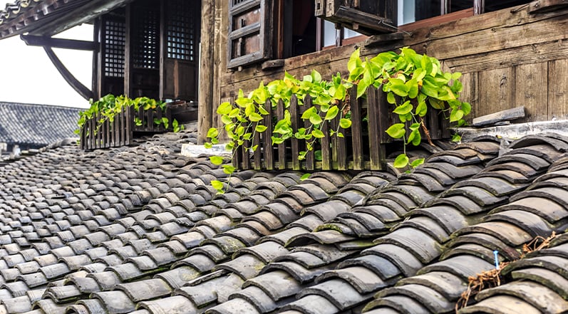 What is Roof Sag and How Much is an Acceptable Amount?