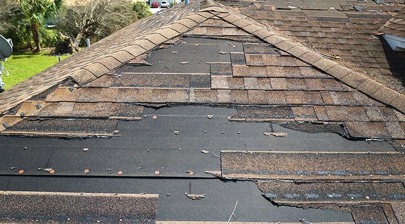 Roof Damage from Trees: Prevention, Repairs, and Maintenance