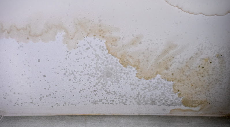Water Damage on Your Roof: The Different Types and Solutions