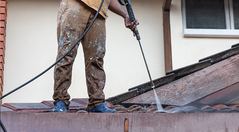 The Dangers of Roof Mold: A Comprehensive Removal Guide