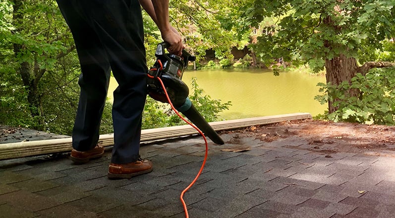 Roof Damage from Trees: Prevention, Repairs, and Maintenance