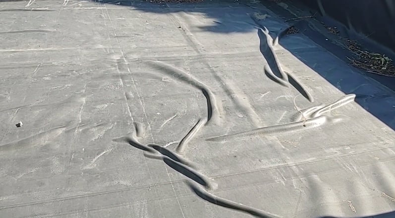 TPO vs. EPDM vs. PVC: Which Roofing Type is Best For Me?