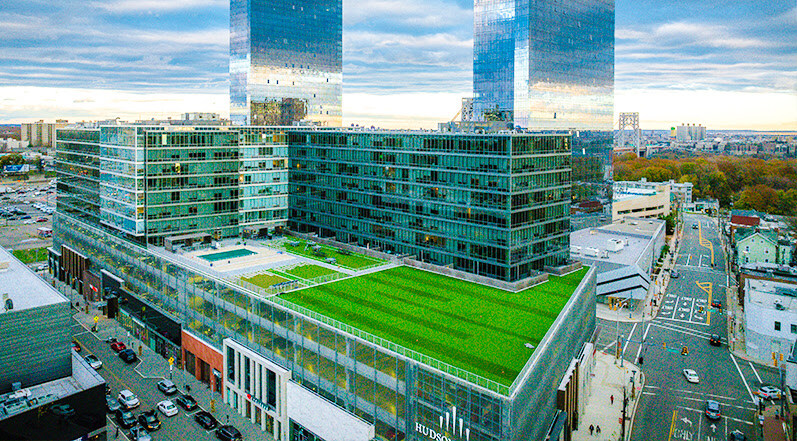 Atlanta's LEED Advantage: Green Roof Installs