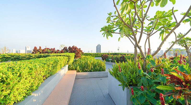 Atlanta's LEED Advantage: Green Roof Installs