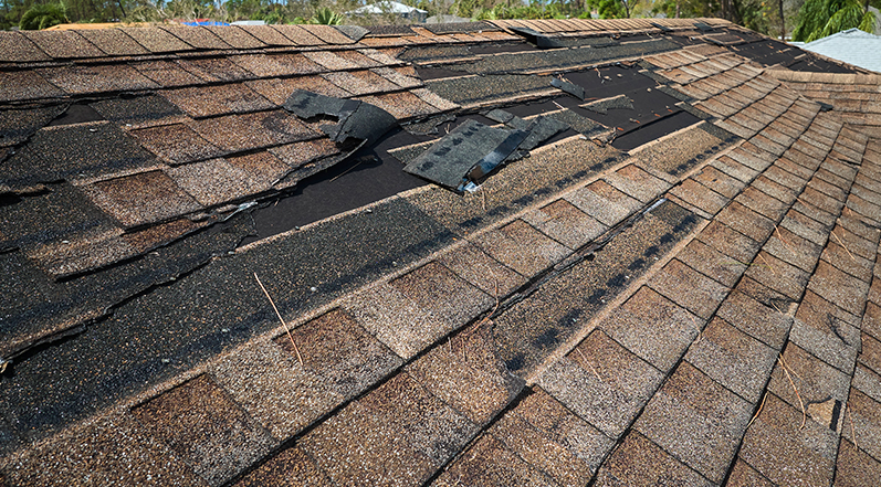 [Guide] What is Roof Blistering and Is It a Cause For Concern?