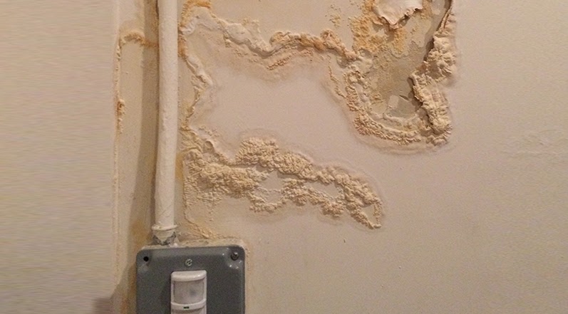When Can a Leaky Roof Cause Structural Damage to a Building?