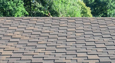 Myth Busting: Do 50-Year Shingles Really Last 50 Years?