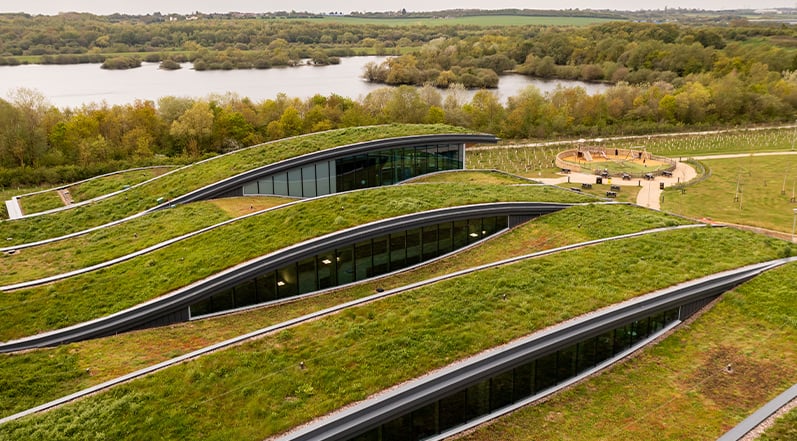 Atlanta's LEED Advantage: Green Roof Installs