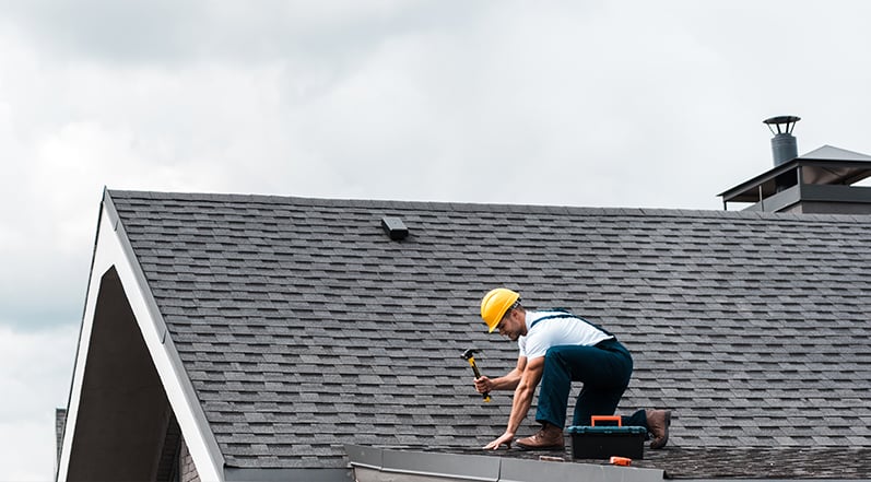 Roof Damage from Trees: Prevention, Repairs, and Maintenance