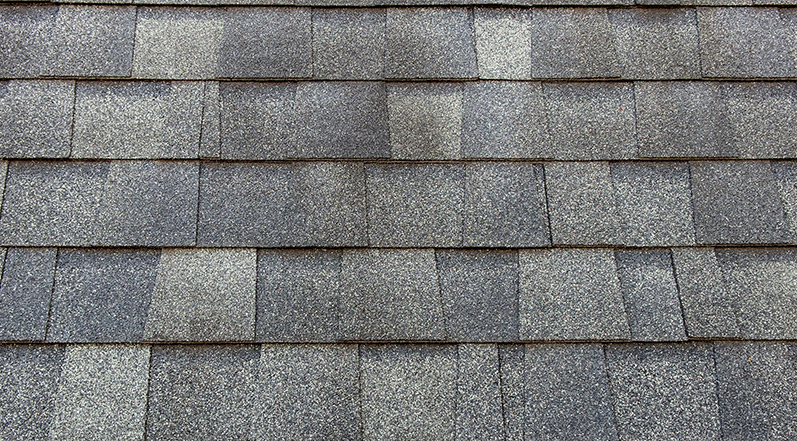 Myth Busting: Do 50-Year Shingles Really Last 50 Years?