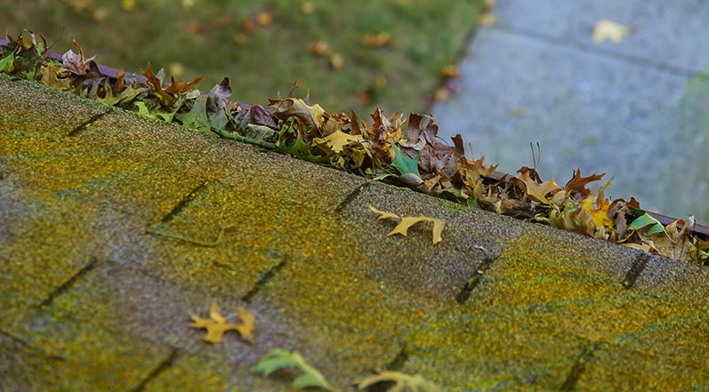 How to Clean a Roof: Flat, Shingles, Frequency & More