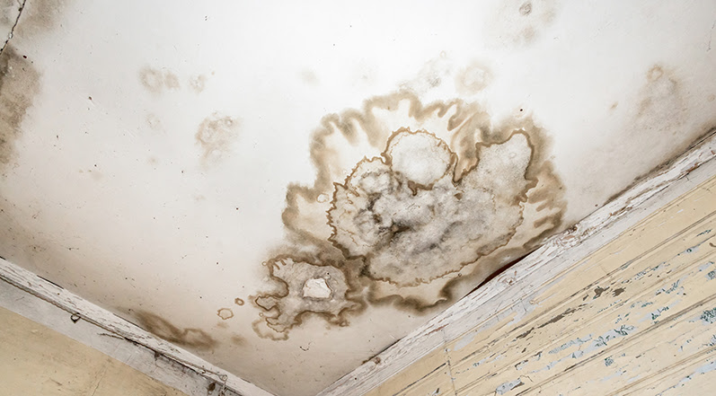 When Can a Leaky Roof Cause Structural Damage to a Building?