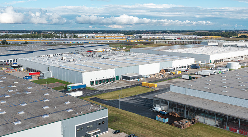 Plywood vs OSB: What Is Better For Your Roof?