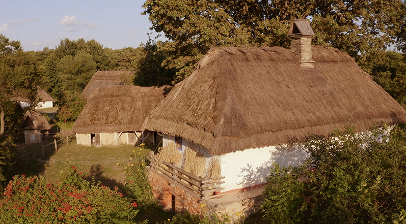 Luxury Roofing Shingles: What Options Are There?