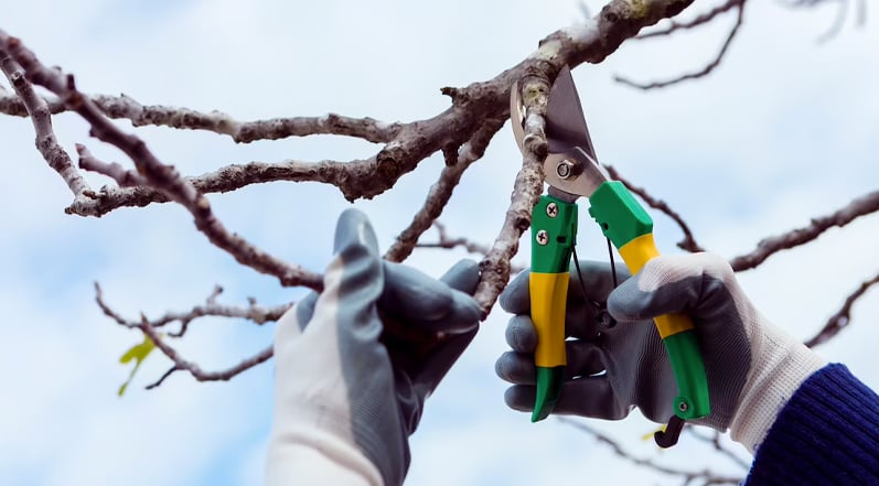 Metal Roof Maintenance: Everything You Need to Know