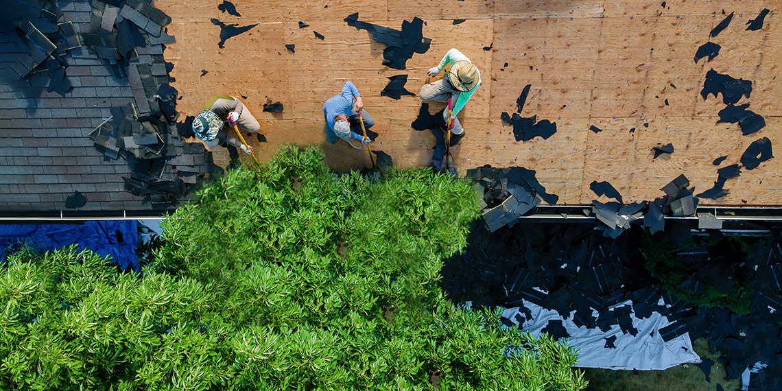Roof Damage from Trees: Prevention, Repairs, and Maintenance