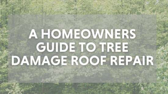 A Homeowner's Guide To Tree Damage Roof Repair